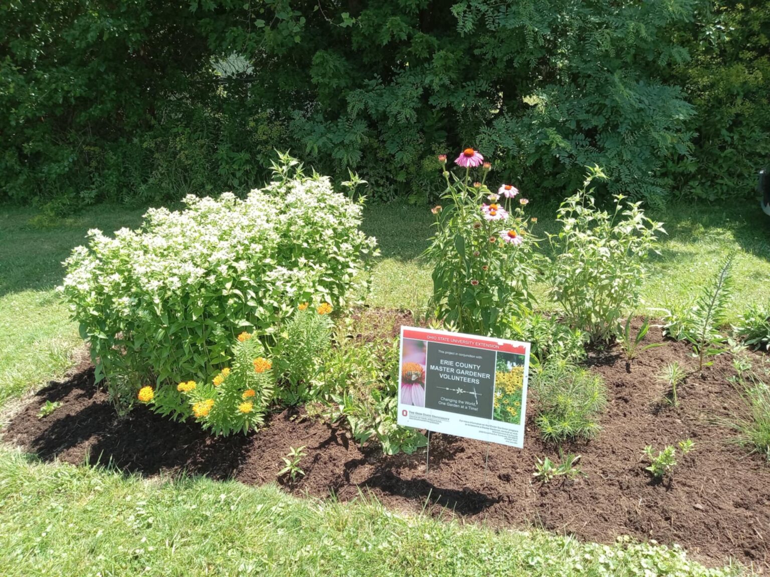 Sherod Park’s New Attraction: Three Stunning Pollinator Gardens ...
