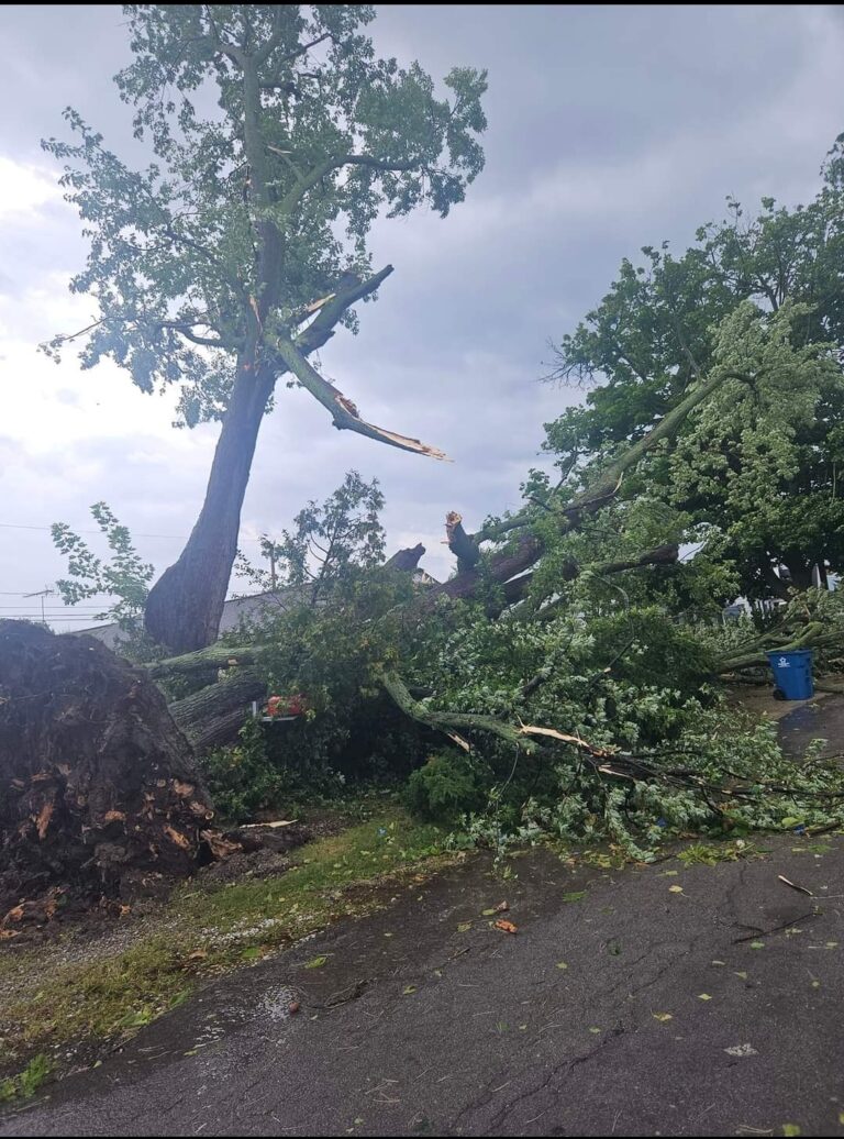 Severe Thunderstorm Strikes Vermilion Area, Causing Widespread Damage ...